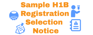 Sample H1B Registration Selection Notice: Fields Meaning