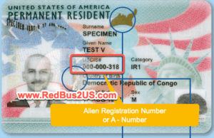 What is USCIS A-Number or Alien Registration Number? How to find?[2024]