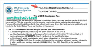 What is USCIS A-Number or Alien Registration Number? How to find?[2024]