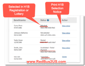 Sample H1B Registration Selection Notice: Fields Meaning